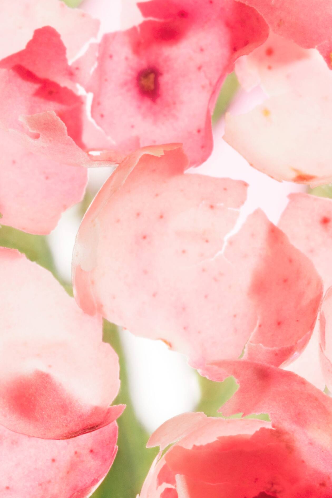 Roll-on-parfym - Miami Muse - Beauty all | H&M SE