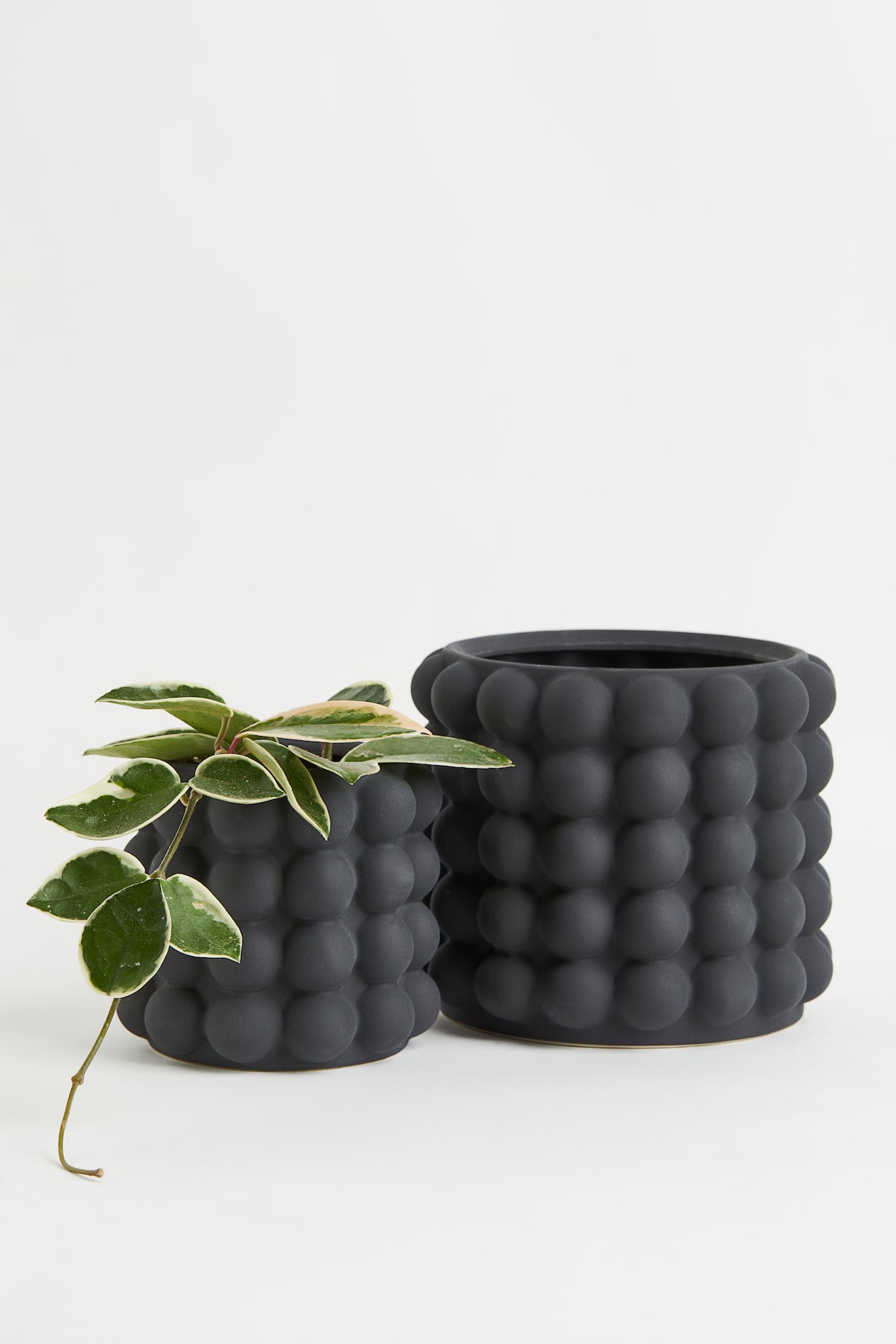 Plant Pot with Bubbles - Black/matte - Home All | H&M US
