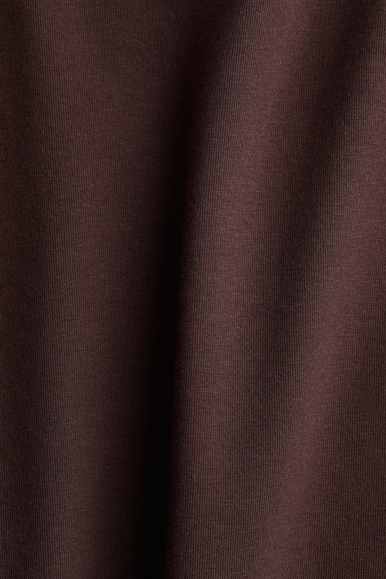 Fitted T-Shirt - Dark brown - Ladies | H&M US