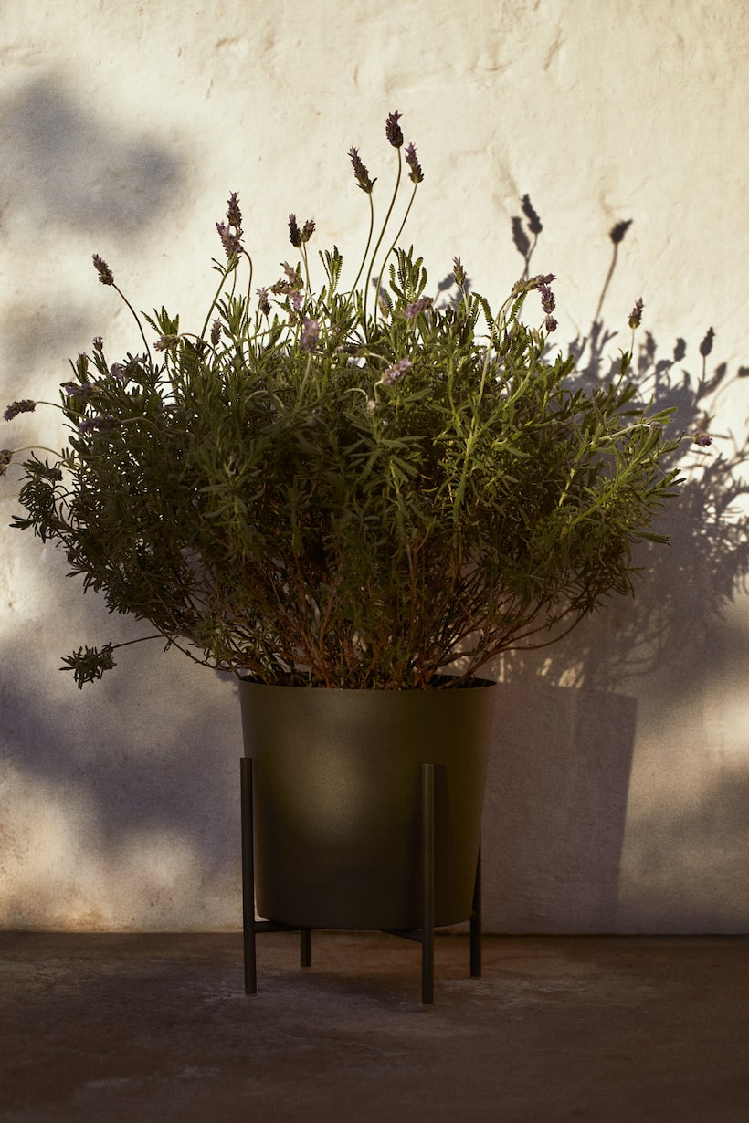 Khaki green Large Plant Pot on Stand at H&M Home | H&M US