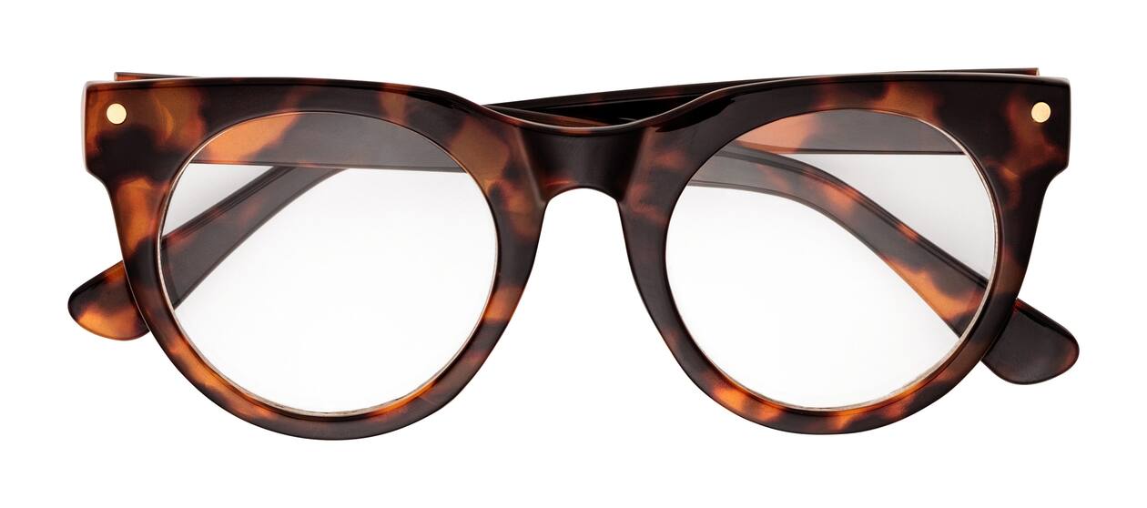 Eyeglasses - Brown - Ladies | H&M US