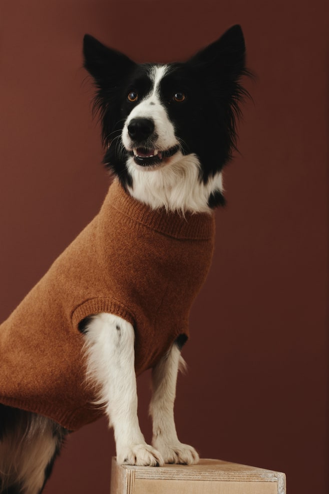 Suéter de perro en tejido fino - Beige jaspeado oscuro - Men | H&M MX