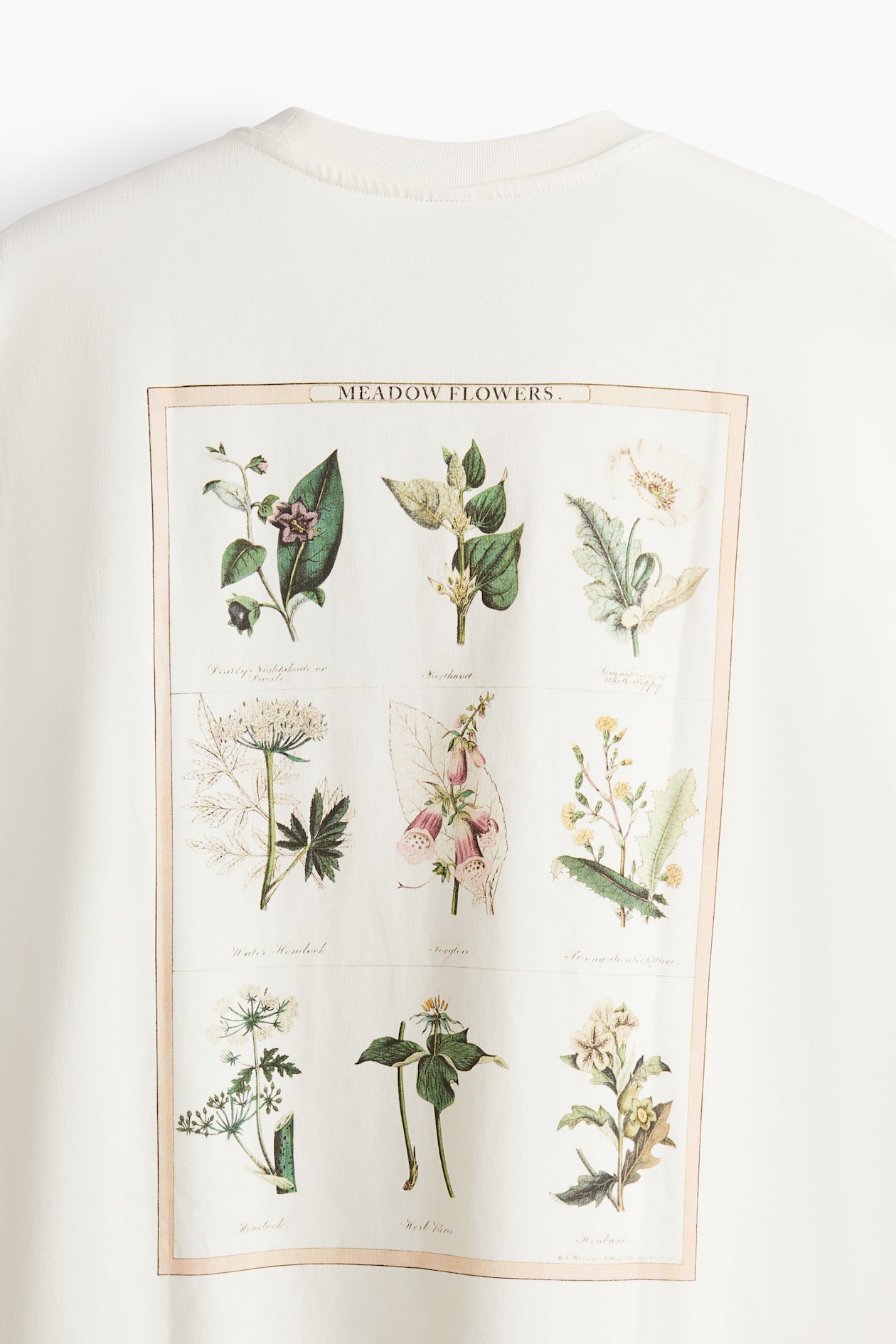 Men’s White/Meadow Flowers Loose Fit Printed T-shirt | H&M PH