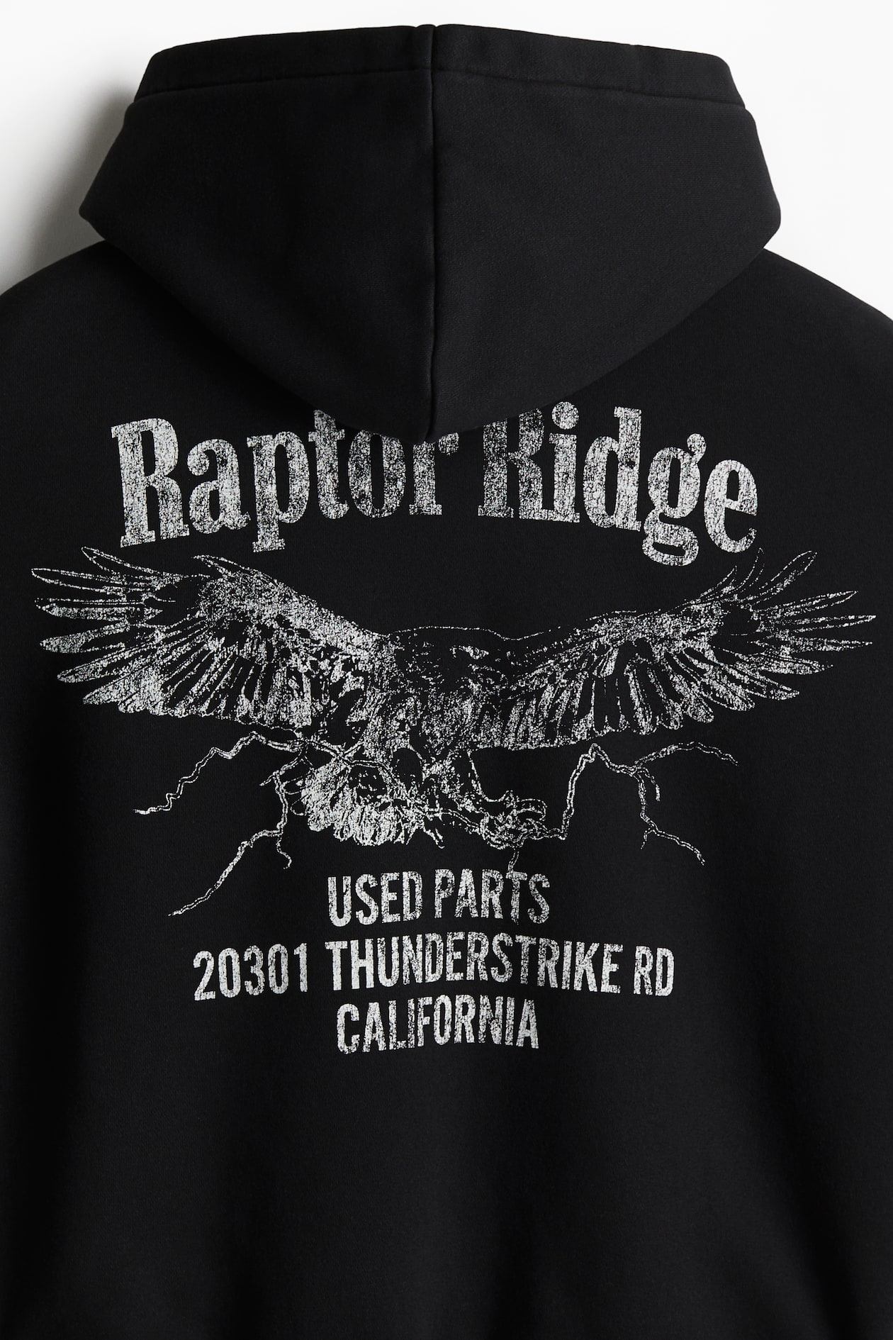 Men’s Black/Raptor Ridge Loose Fit Printed Hoodie | H&M US