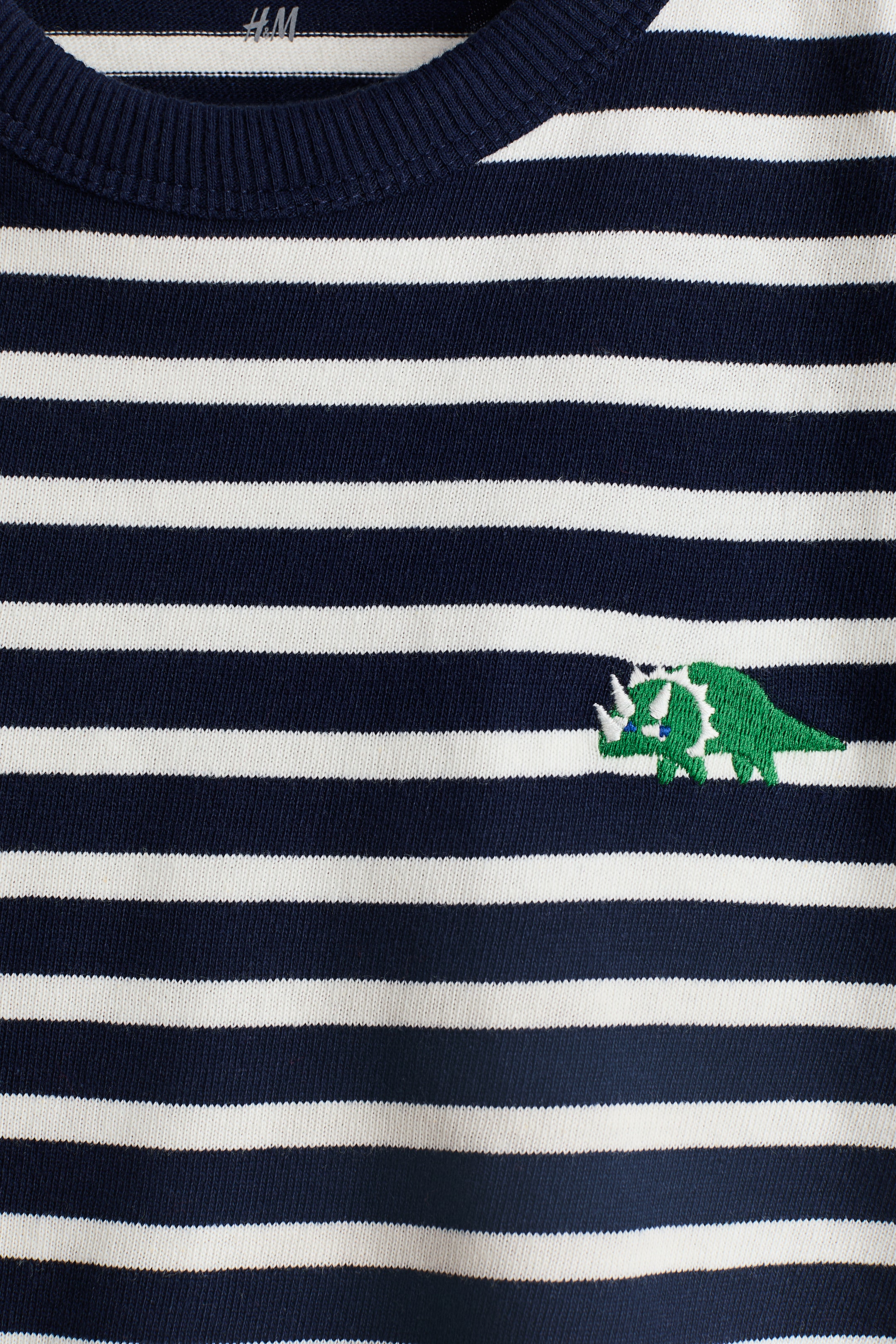 Long-sleeved cotton T-shirt - Navy blue/Dinosaur - Kids | H&M IN