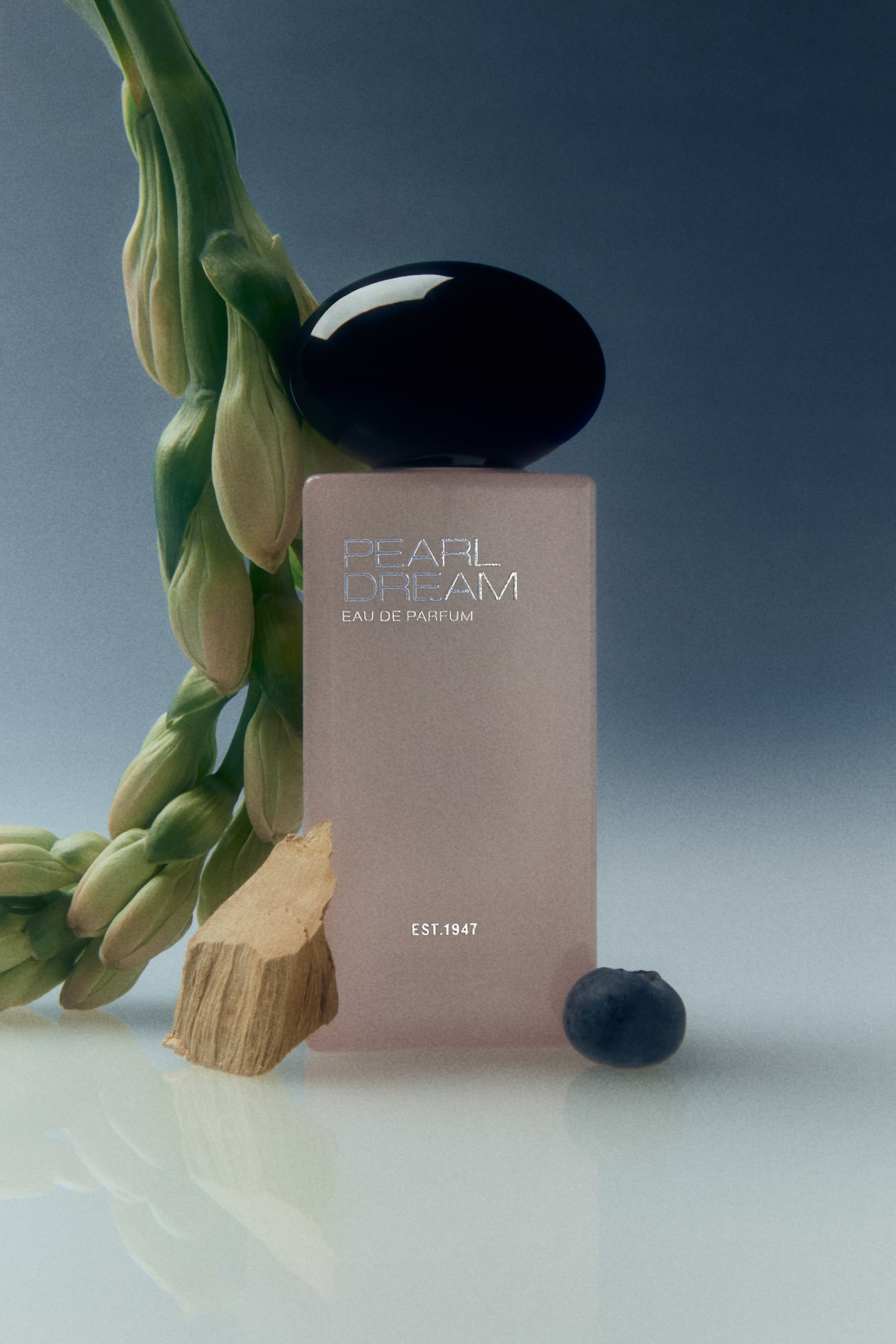 Pearl Dream EDP - Pearl Dream - Beauty all | H&M IL