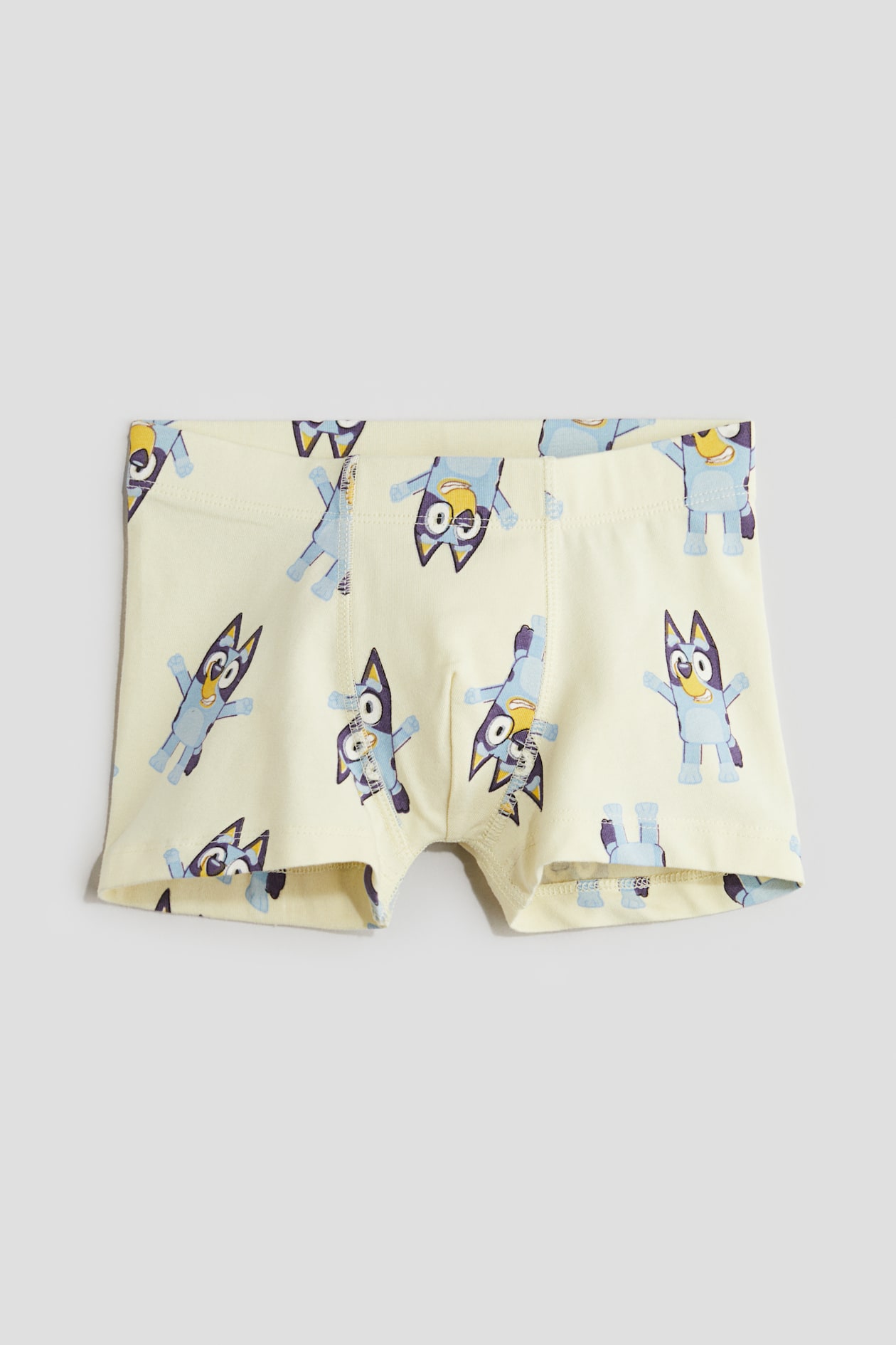 Light blue/Bluey 5-pack Boxer Briefs for kids | H&M US