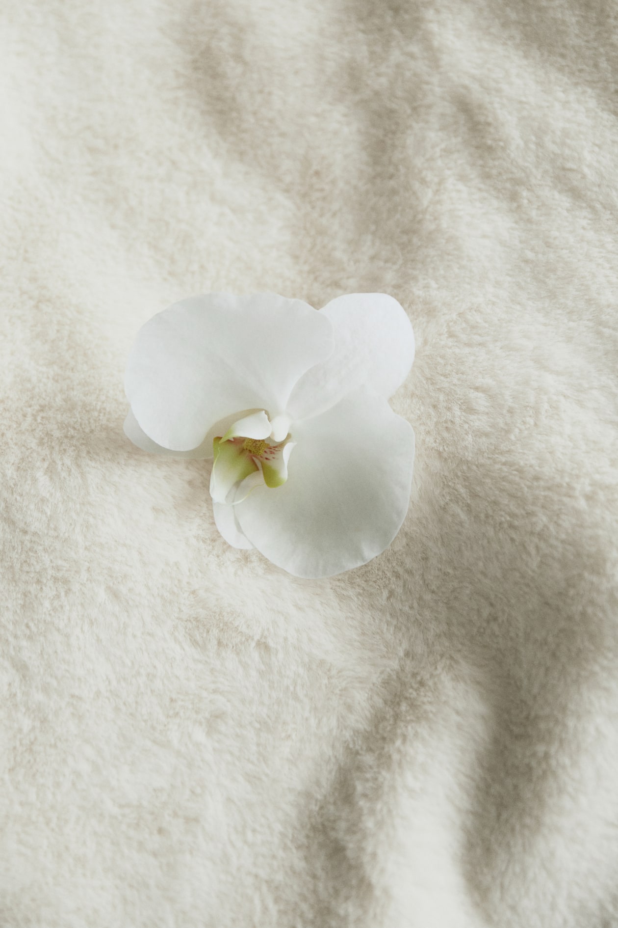 Cubrecama mullido - Blanco - HOME | H&M ES