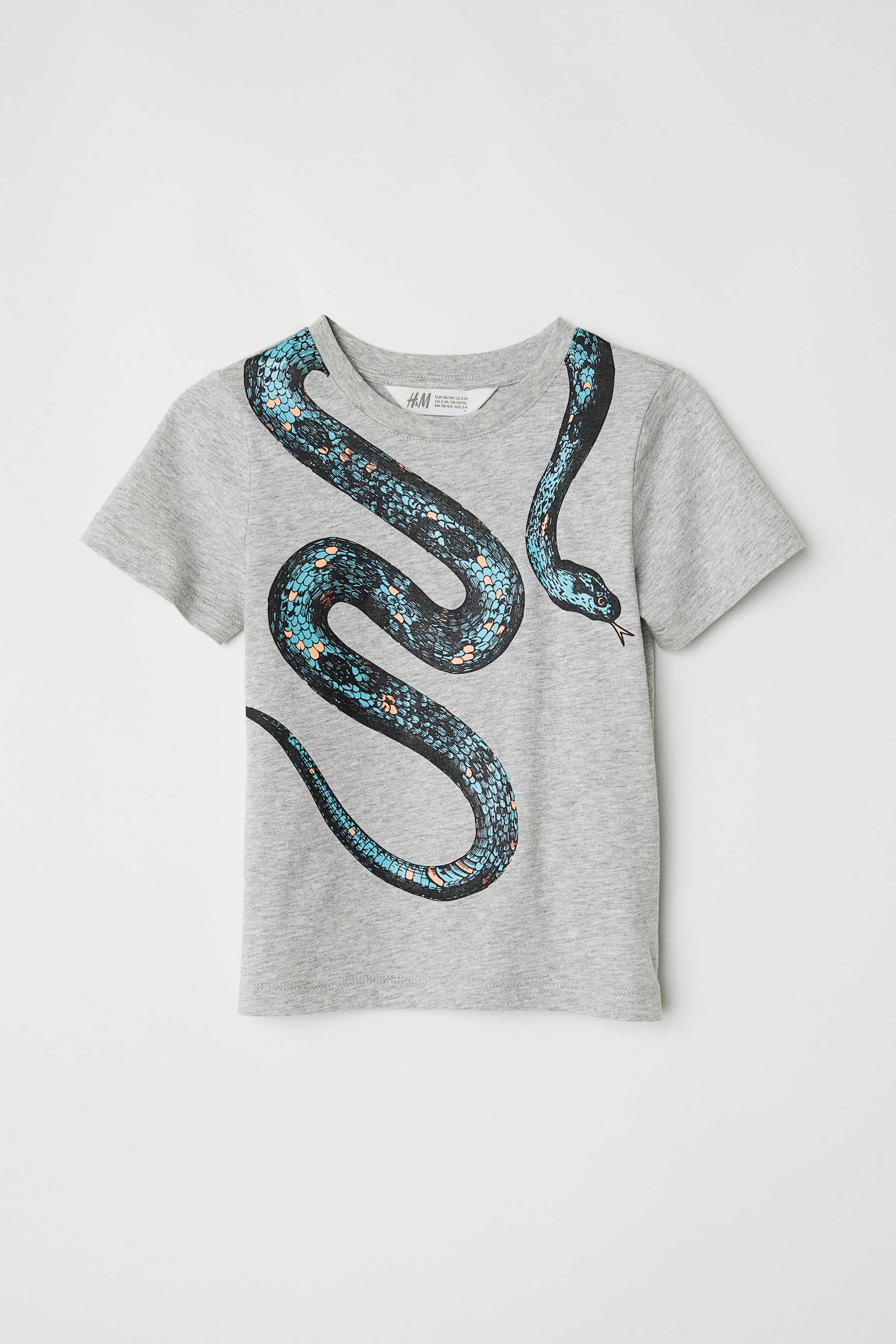 T-shirt met print - Lichtgrijs gemêleerd/slang - KINDEREN | H&M NL