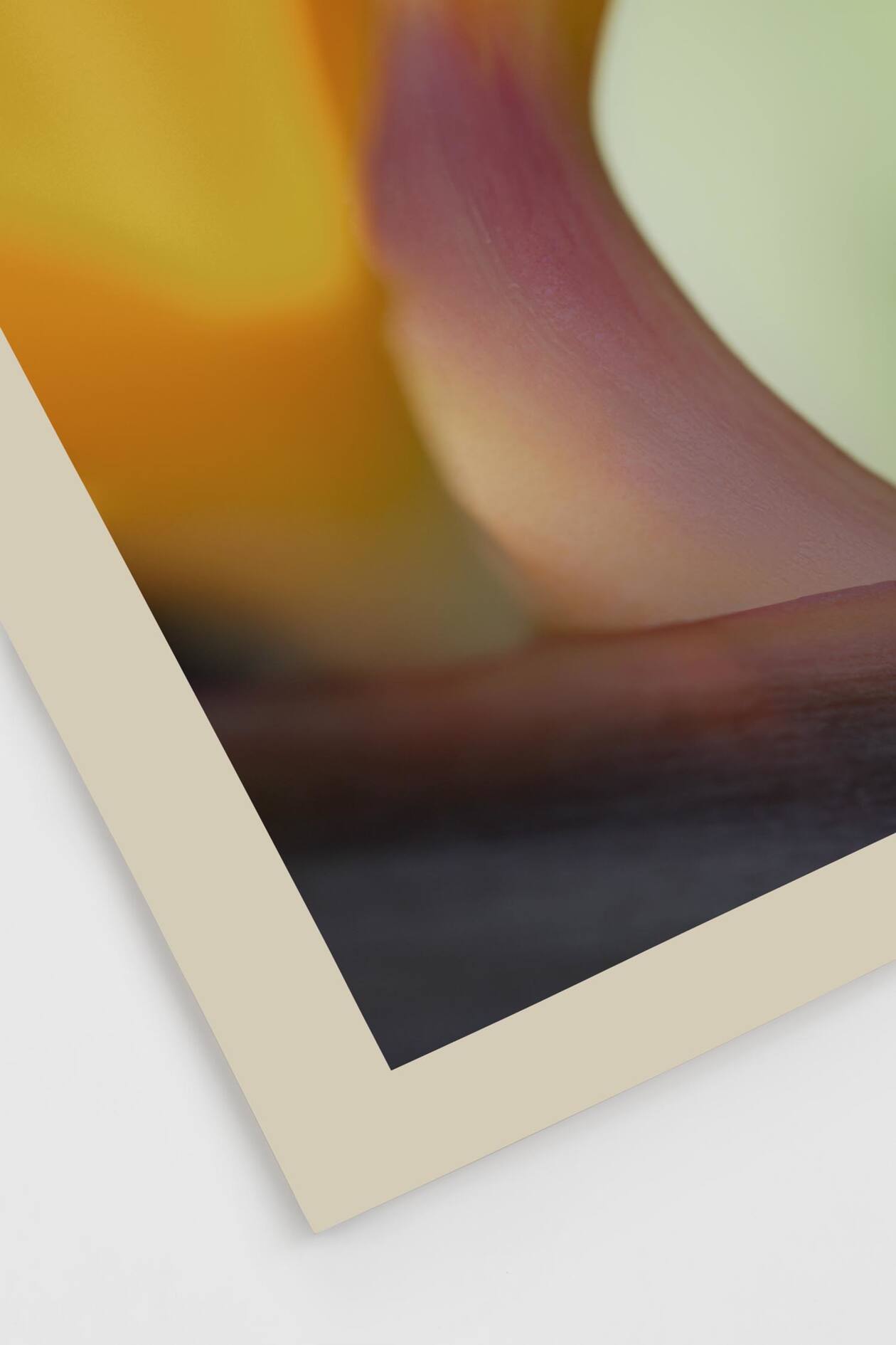 Sunlit Tulip I Sunlit Tulip Poster at H&M Home | H&M GB