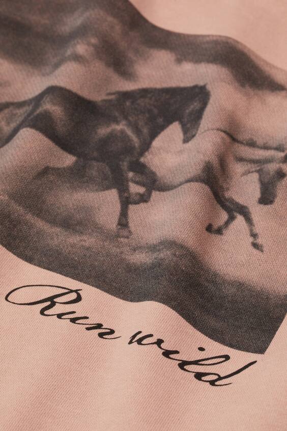 Hoodie - Powder pink/horses - Kids | H&M CA