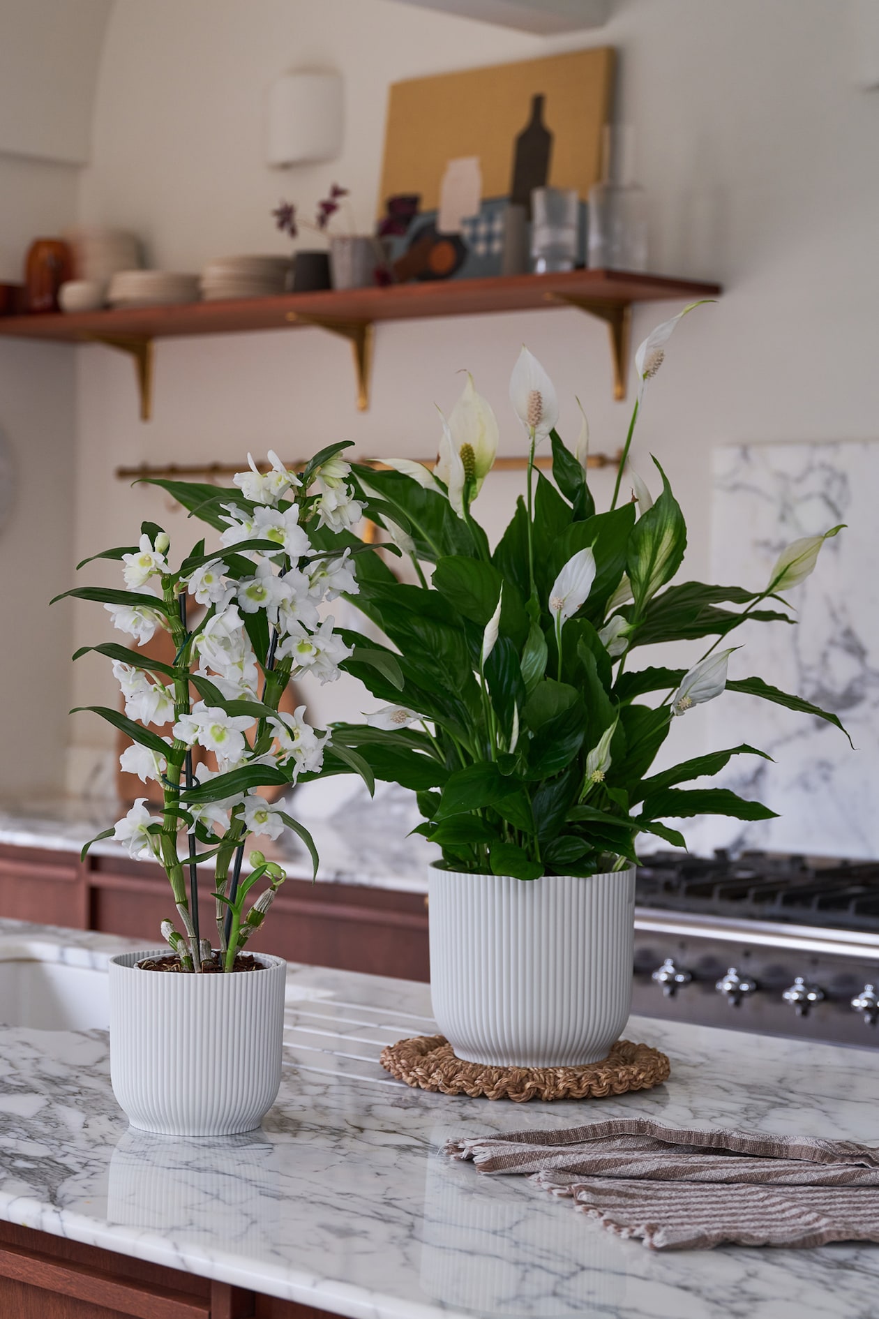 Blooming Beautiful Pair - Set Of 2 - Beards & Daisies - Home All | H&M GB