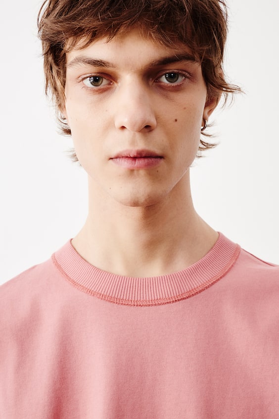 Men’s Pink/Raptor Ridge Loose-Fit Printed T-Shirt | H&M CA