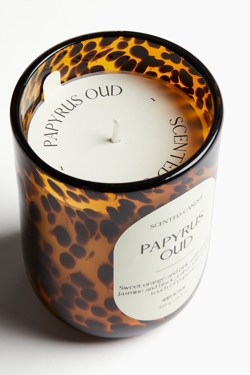 Papyrus Oud Scented Candle in Glass Holder at H&M Home | H&M US