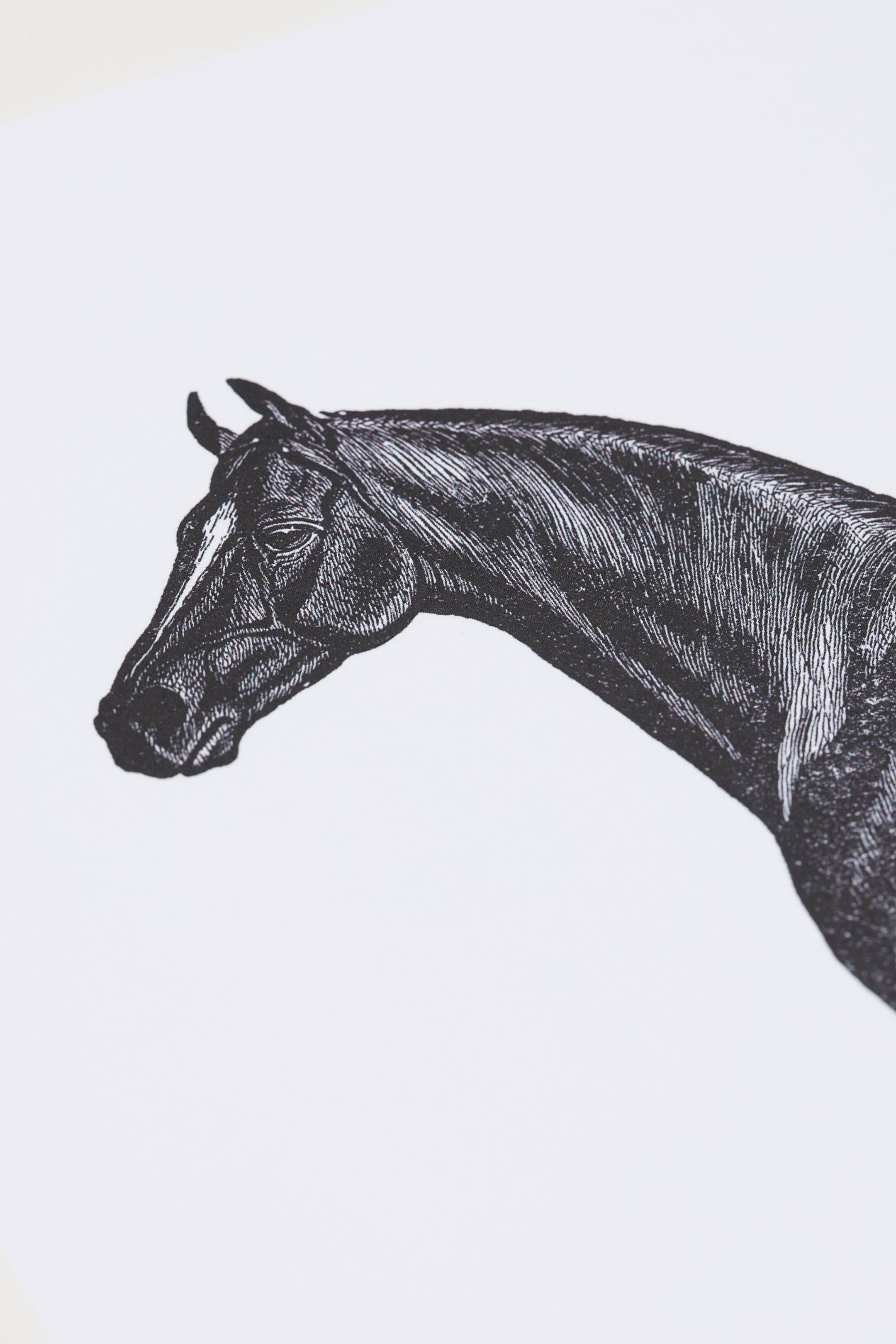 Poster - Hvit/Hest - Home All | H&M NO