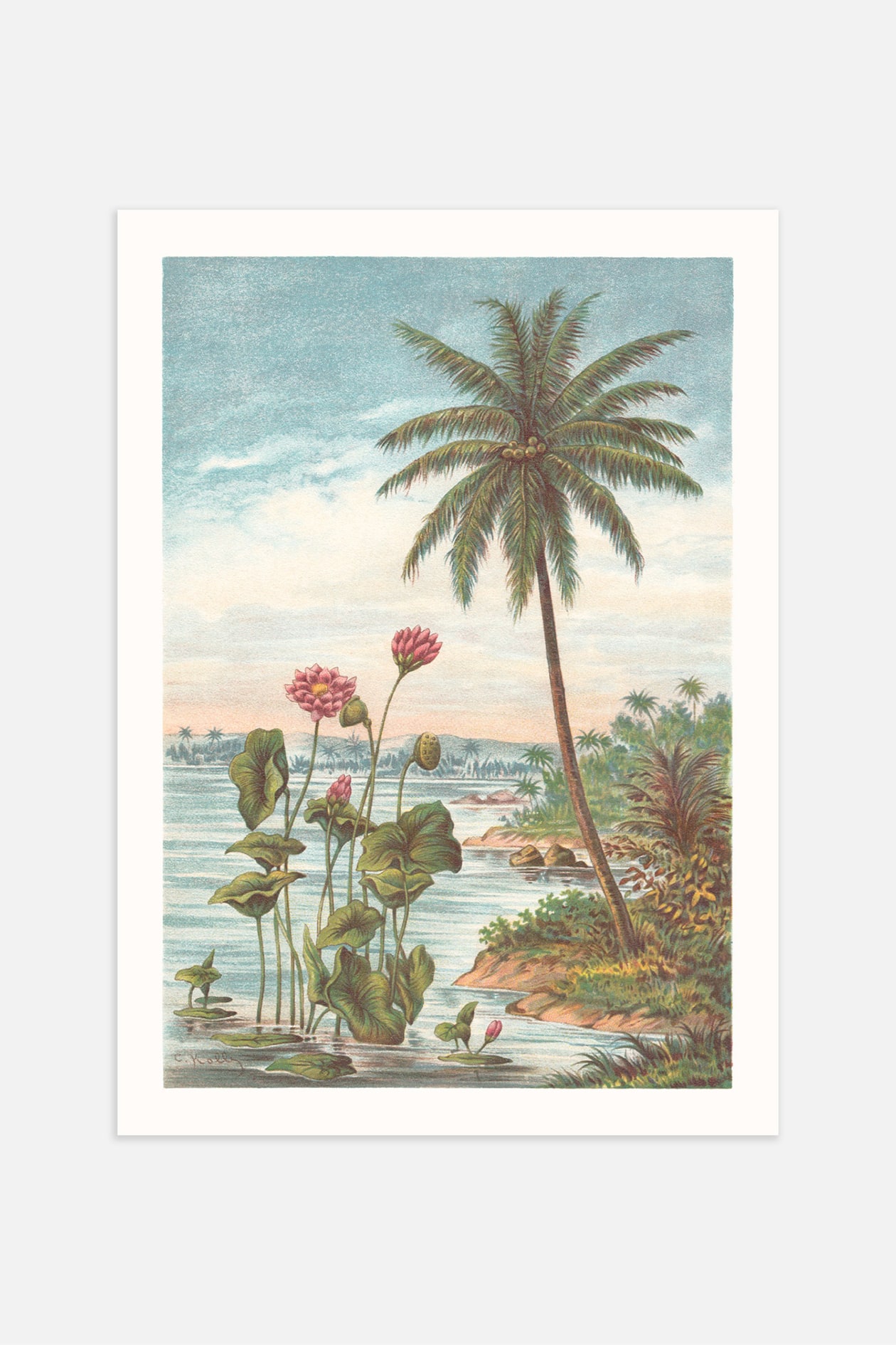 Lotus Flower Coconut Palm Poster - Blue/green - HOME | H&M BE