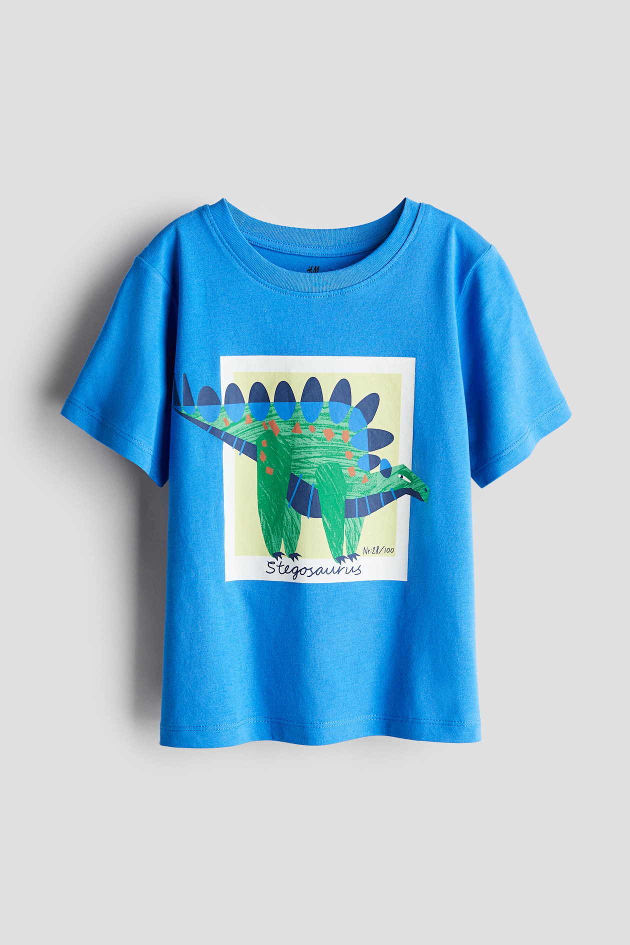 Bright blue/dinosaur Printed T-shirt for kids | H&M CA