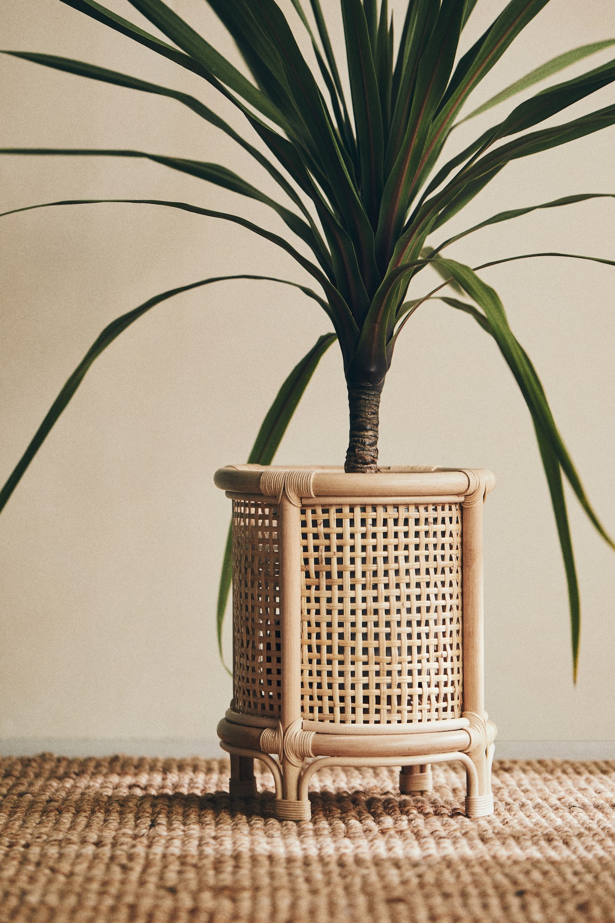 Grand cache-pot en rotin - Beige - Home All | H&M FR