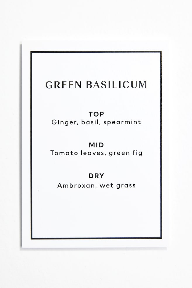 Reed Diffuser - Green Basilicum - Home All | H&M US