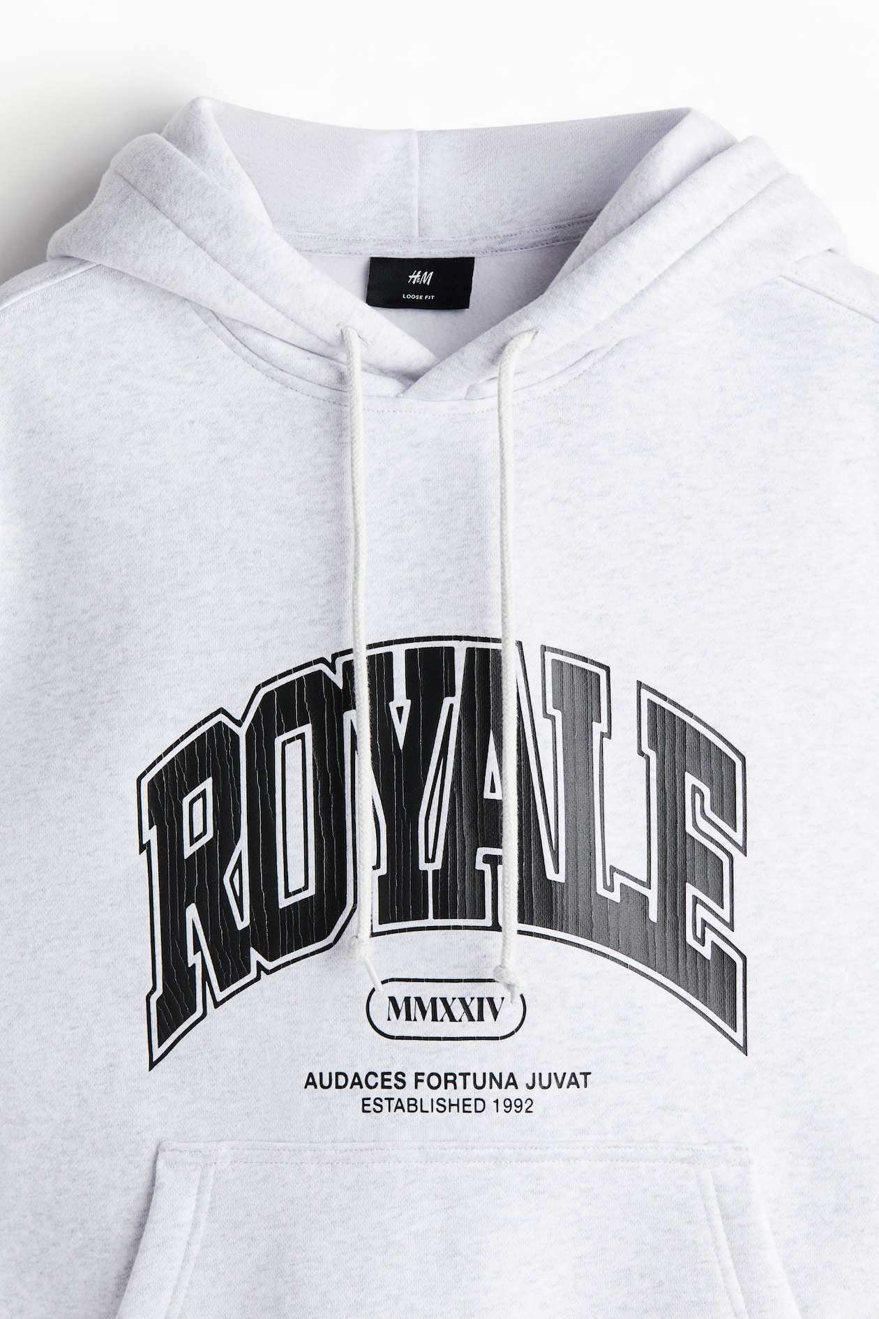 Men’s Light gray melange/Royale Loose Fit Printed Hoodie | H&M CA