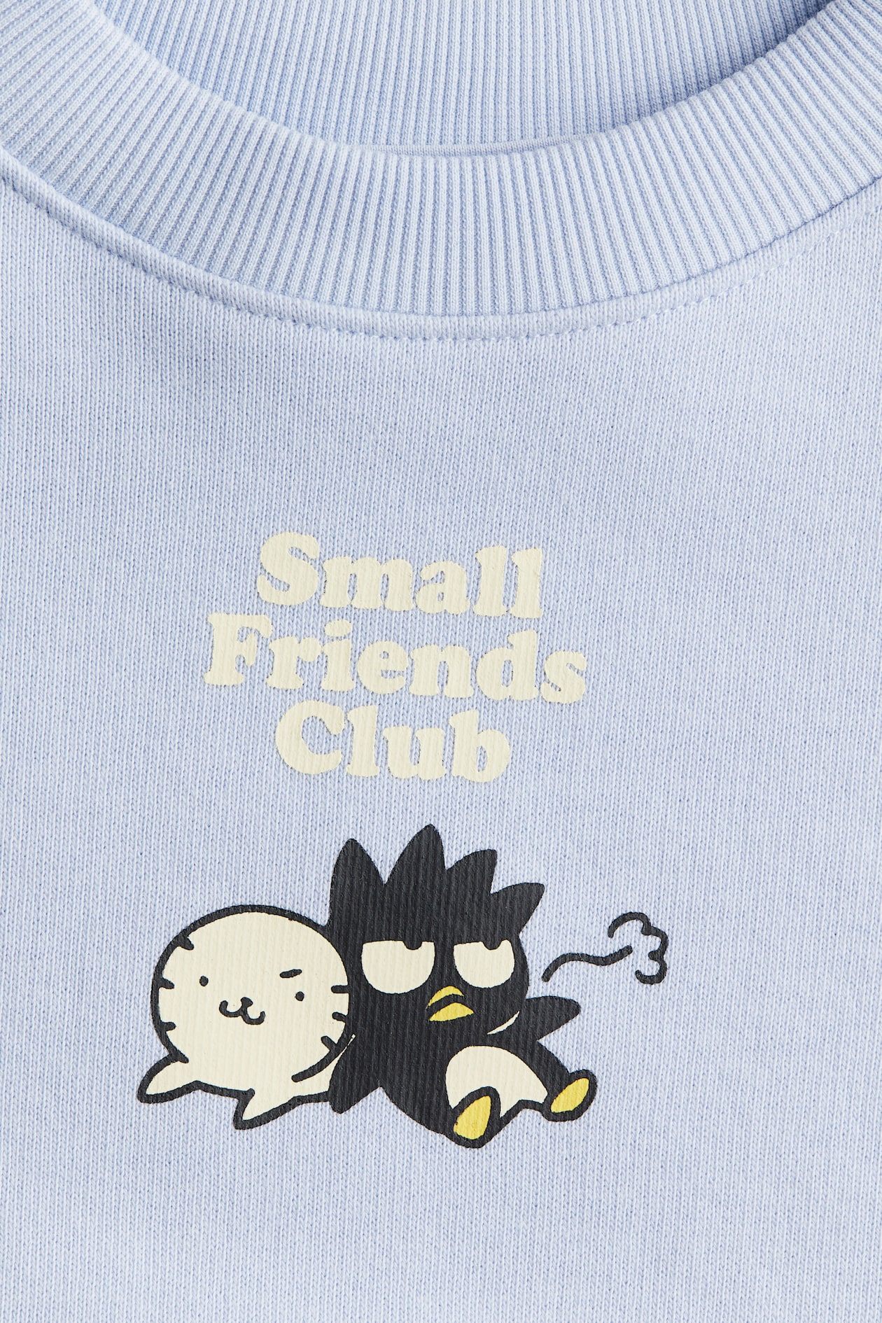Light blue/Friends Club Sweatshirt with Printed Motif for kids | H&M US