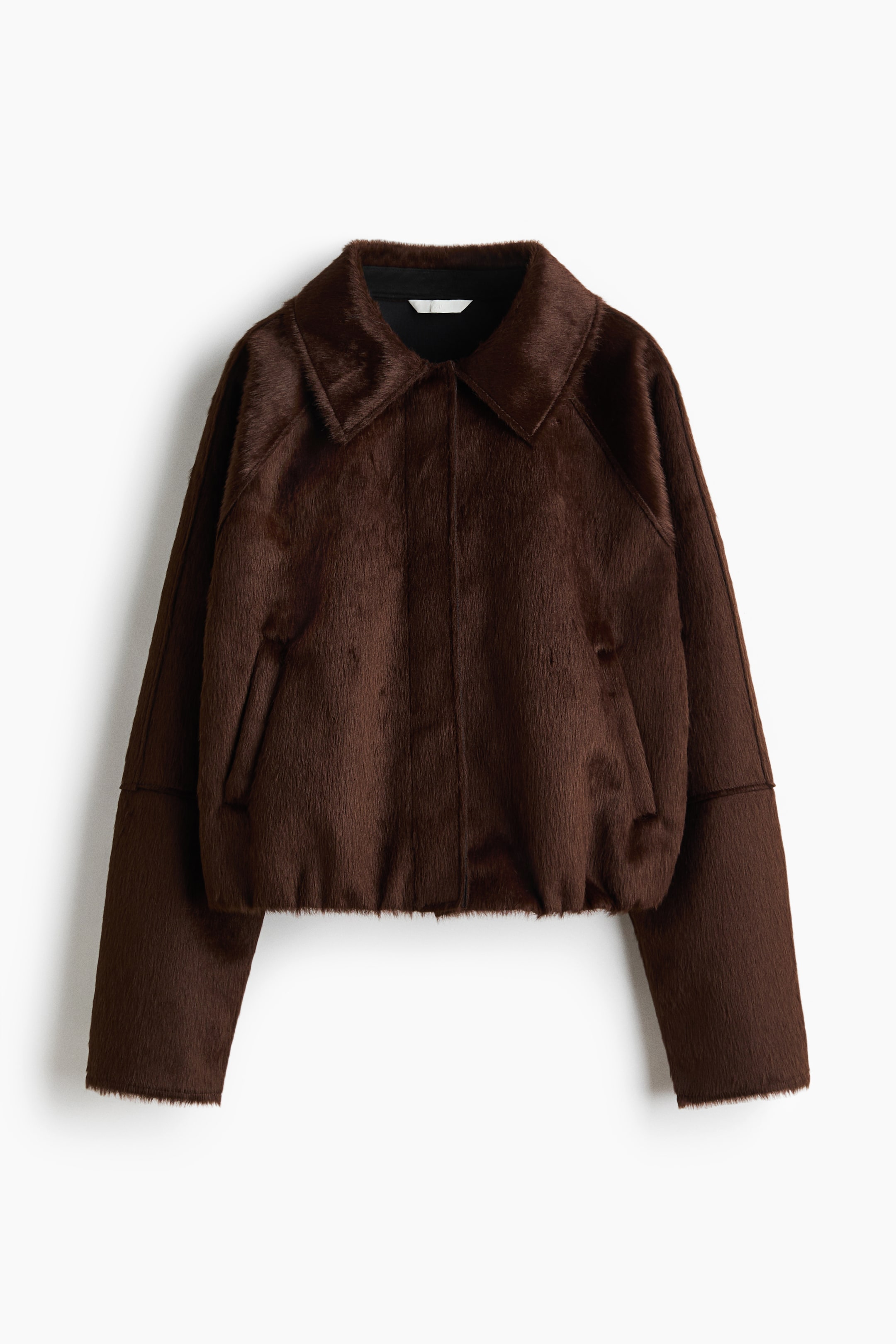 Women's Dark brown Short Jacket with Collar | H&M CA