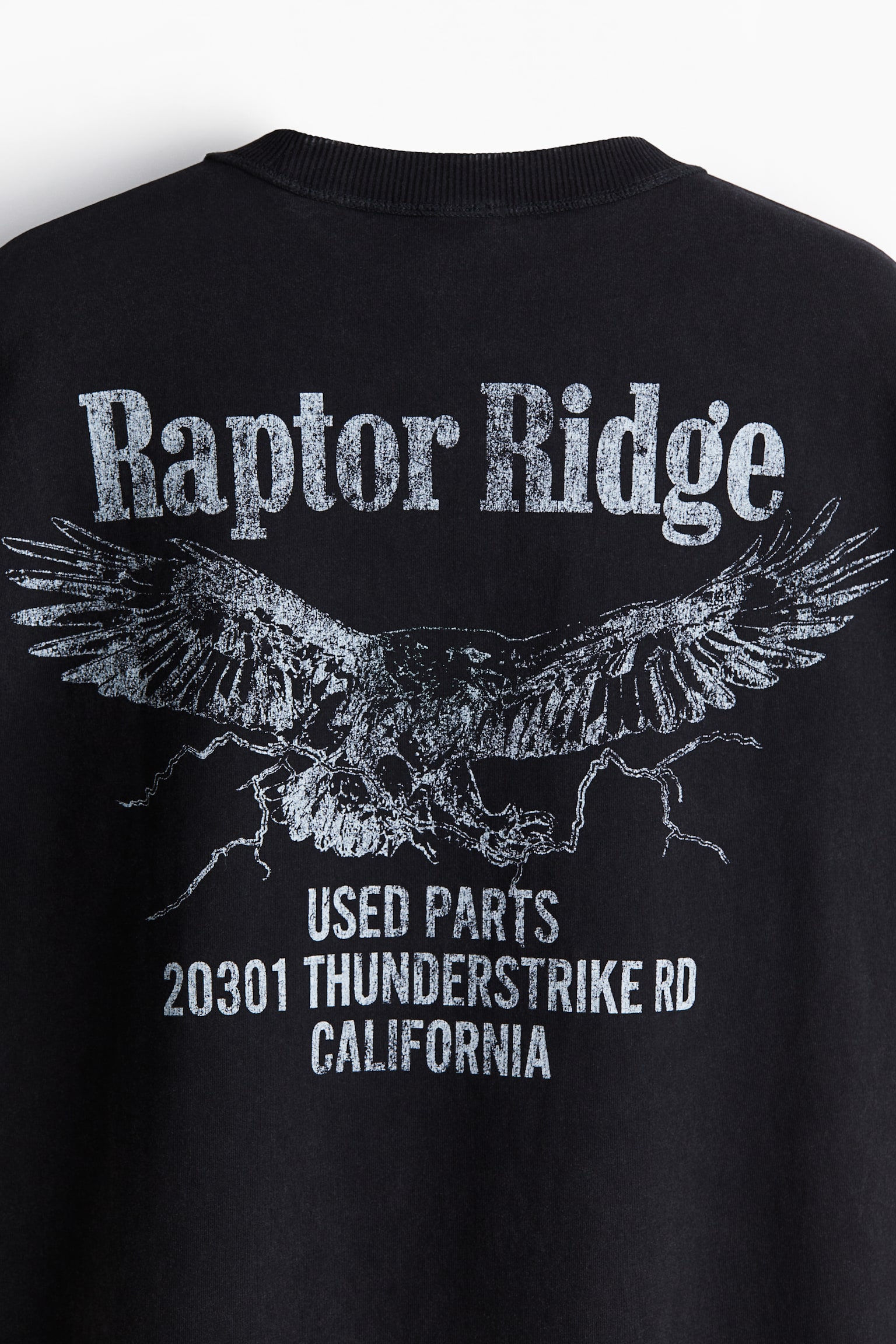 Loose-Fit Printed T-Shirt - Black/Raptor Ridge - Men | H&M CA