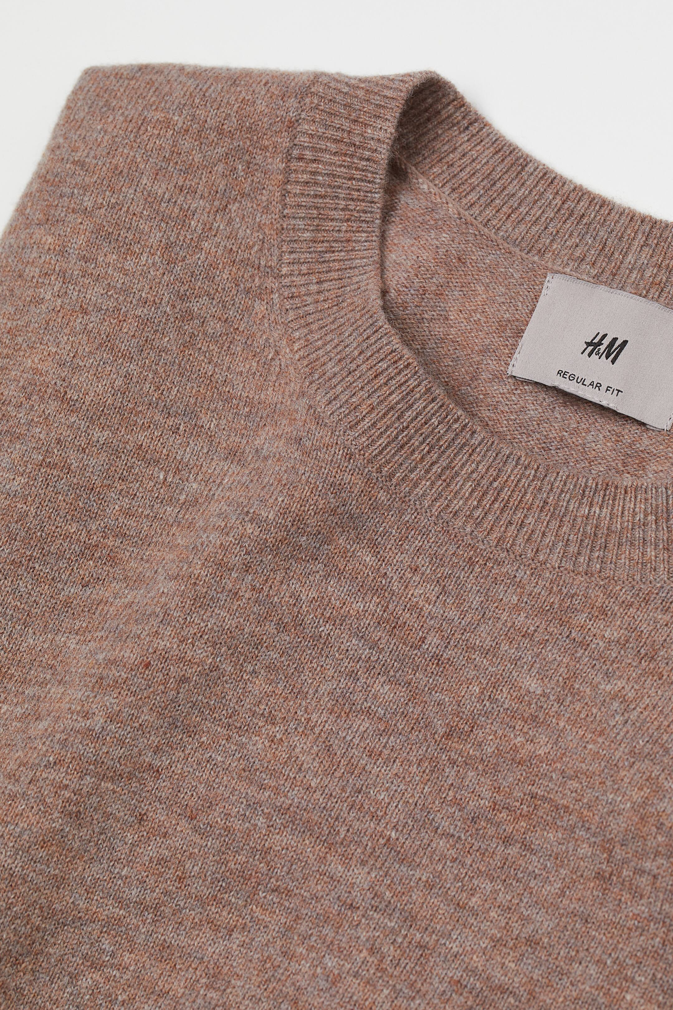 Merino Wool Sweater - Round Neck - Long sleeve - Dark beige - Men | H&M CA