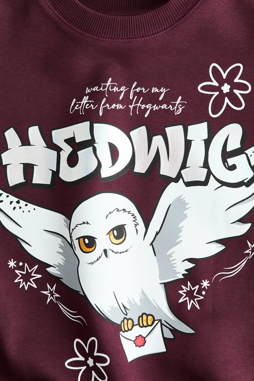 Dark red/Harry Potter Oversized print-motif sweatshirt for kids | H&M GB