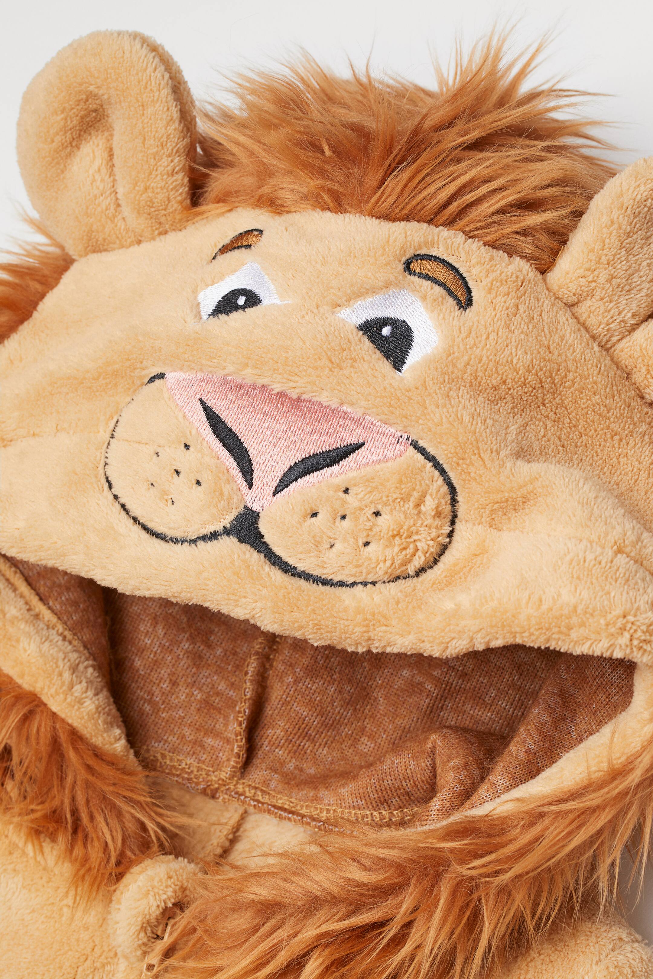 Fancy dress costume - Light orange/Lion - Kids | H&M HK