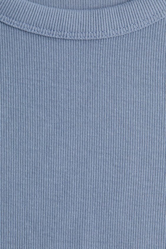 Ribbed Modal-blend T-shirt - Dusty blue - Ladies | H&M US