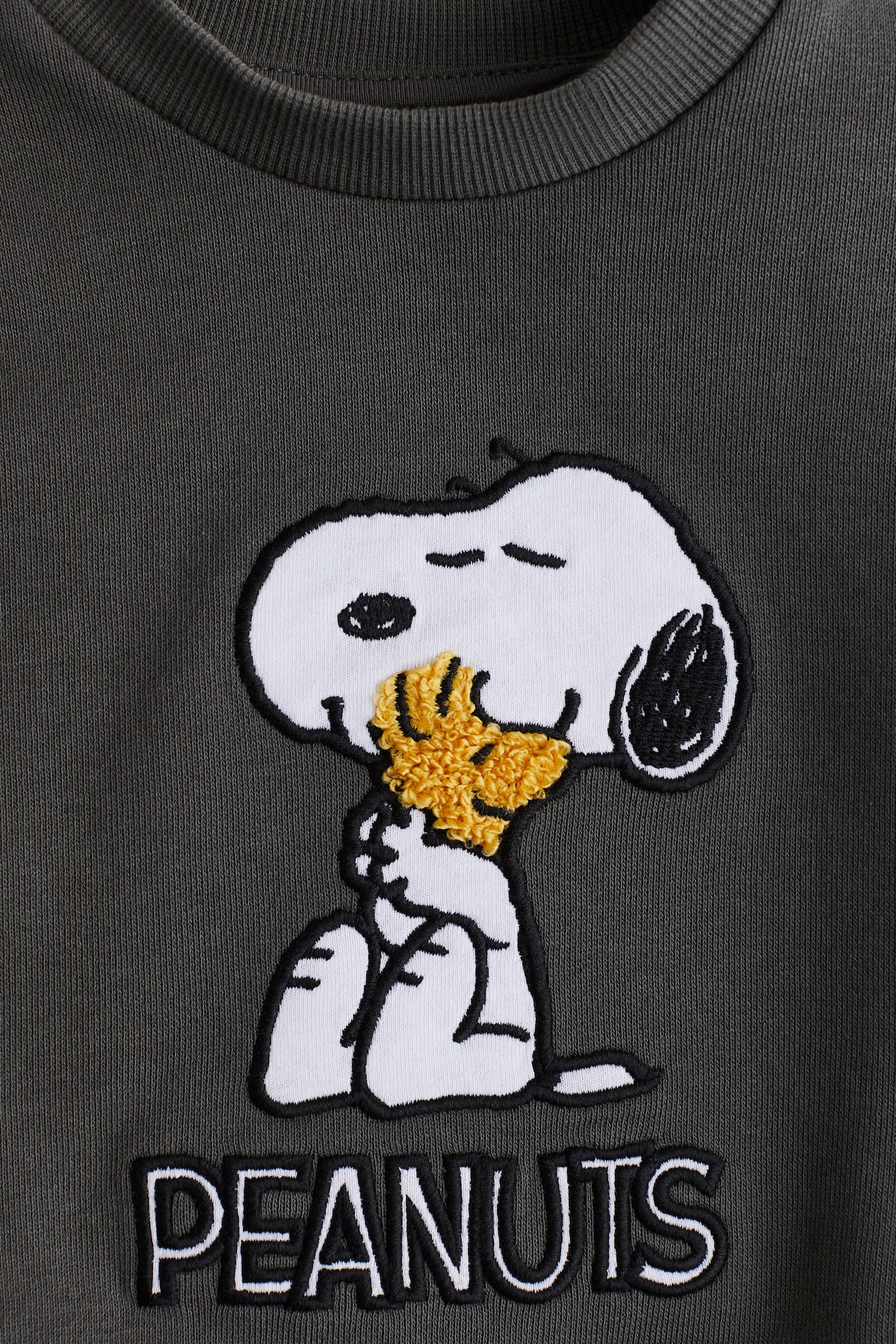 Design Detail Sweater - Dark grey/Snoopy - Kids | H&M AU
