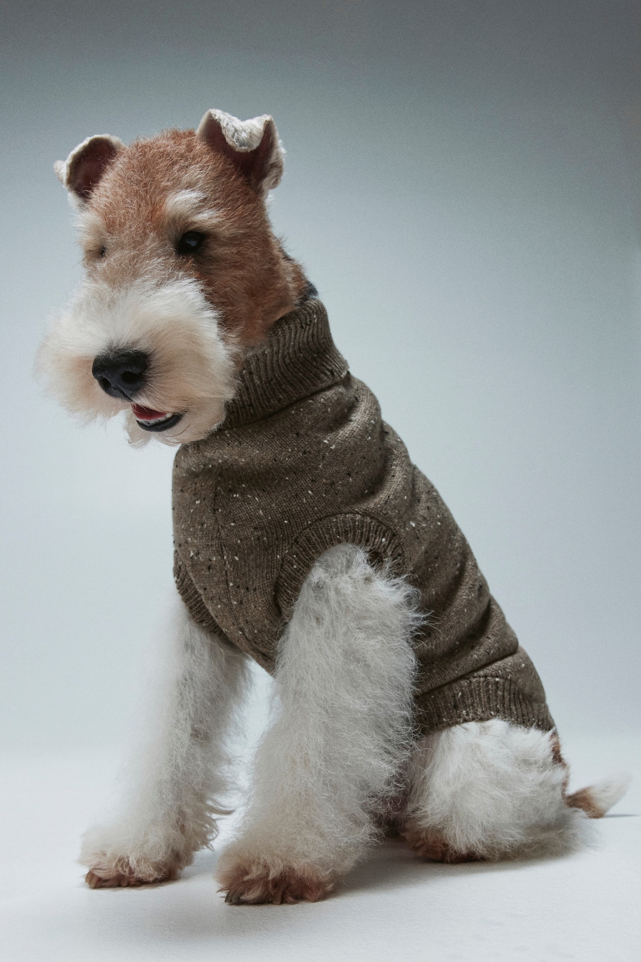 Suéter de perro en tejido fino - Beige jaspeado - Men | H&M MX