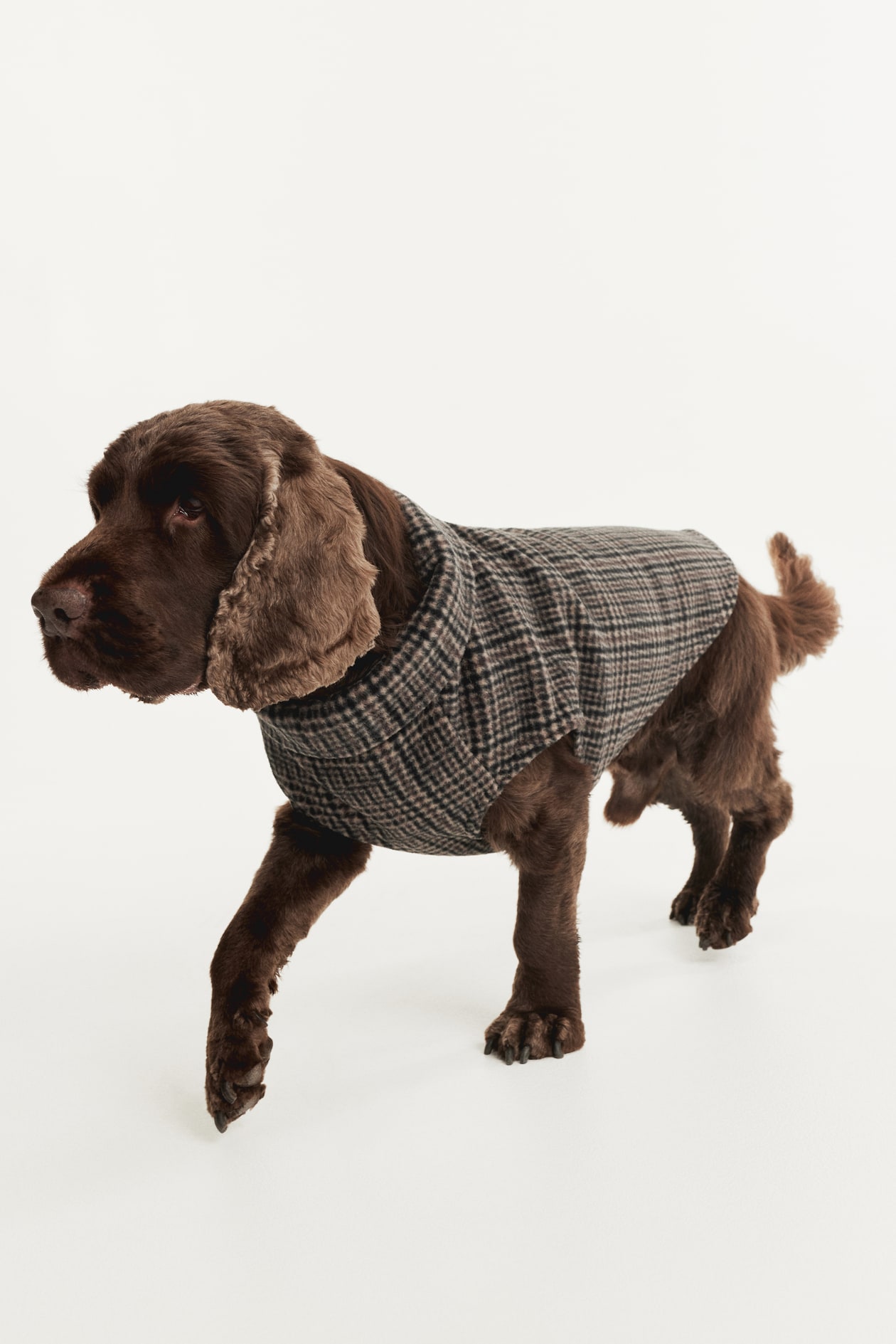 Fleece Top for Dog - Beige/plaid - Ladies | H&M US