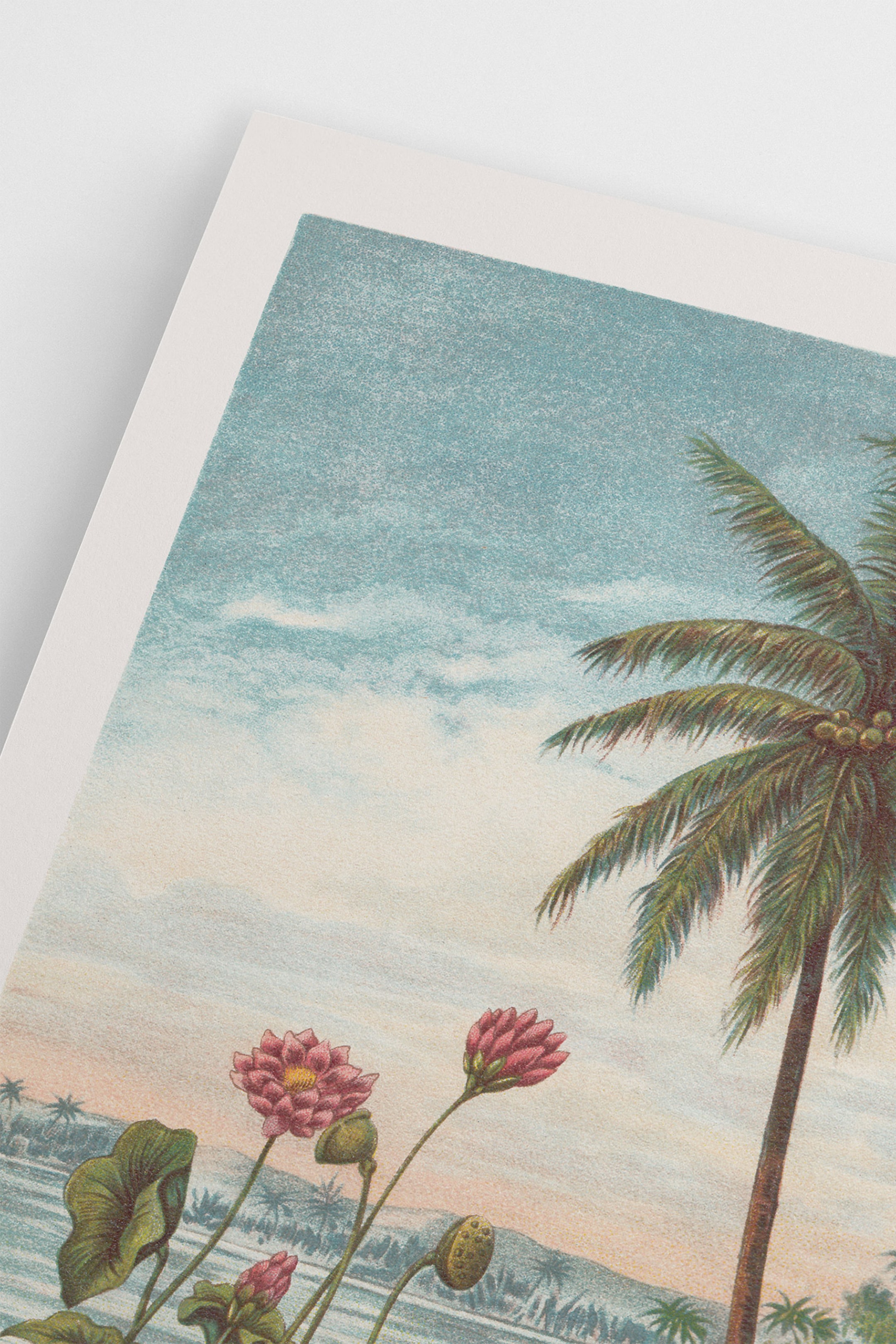 Lotus Flower Coconut Palm Poster - Blue/green - HOME | H&M BE