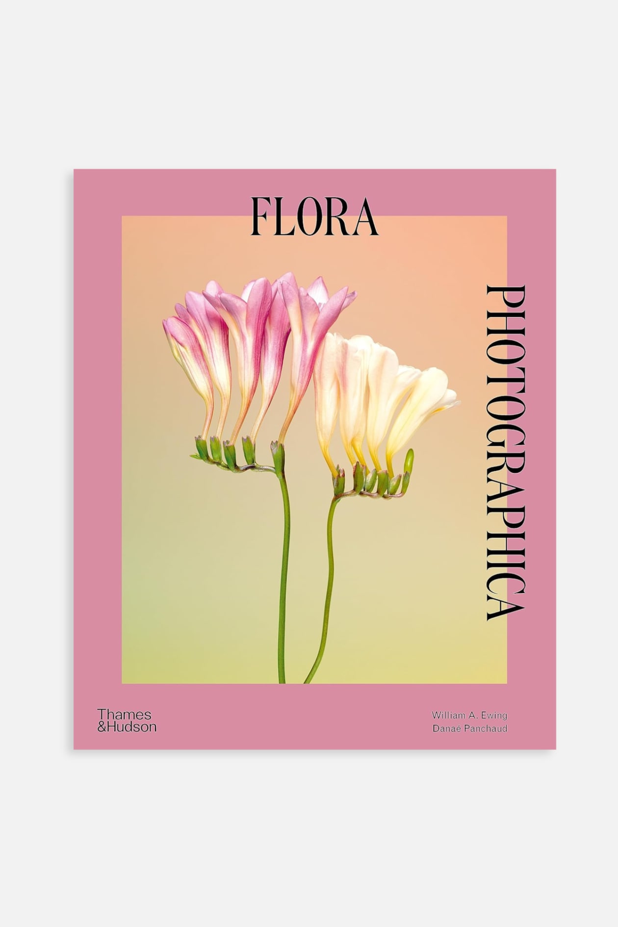 Flora Photographica - Flora Photographica - New Mags - HOME | H&M PL